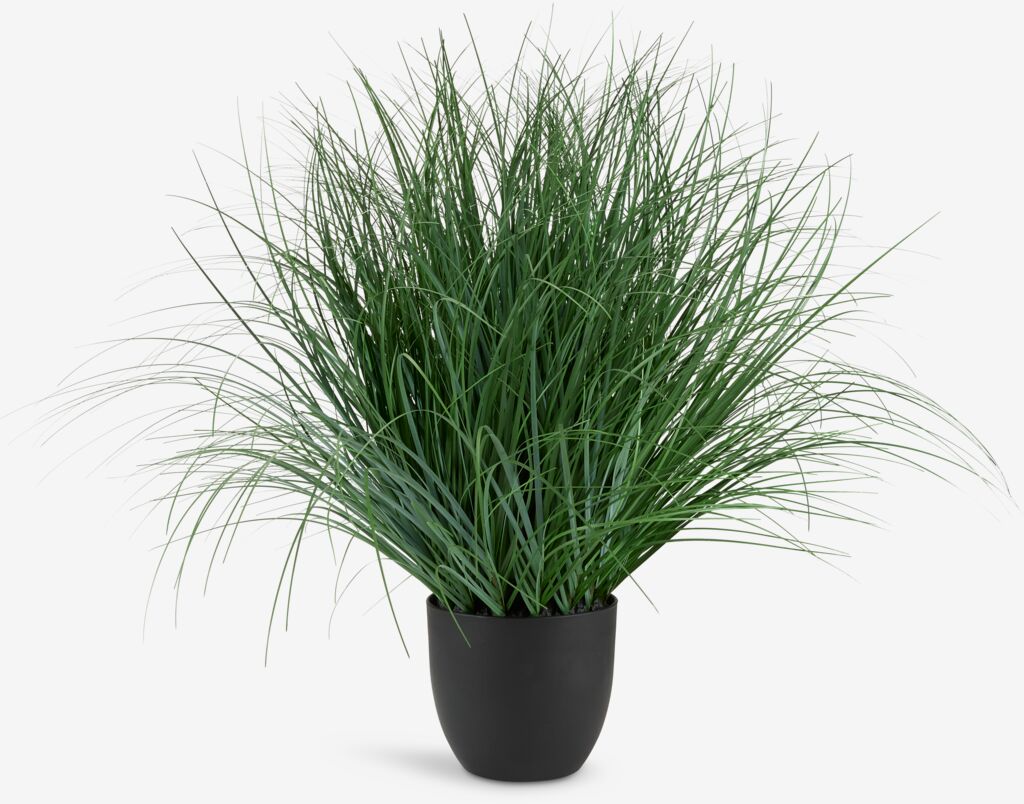 Umelá rastlina HAVELLE V65cm zelená tráva | JYSK